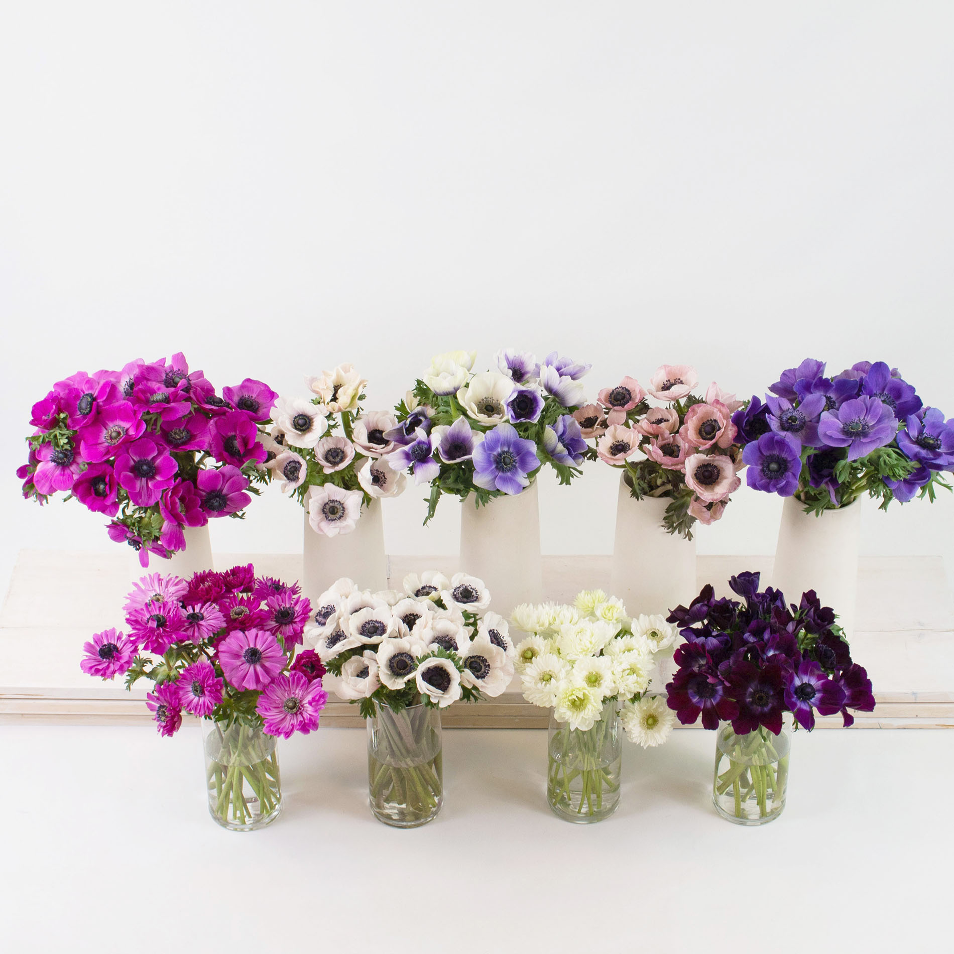 Live Out Your DIY Floral Design Dreams With FiftyFlowers