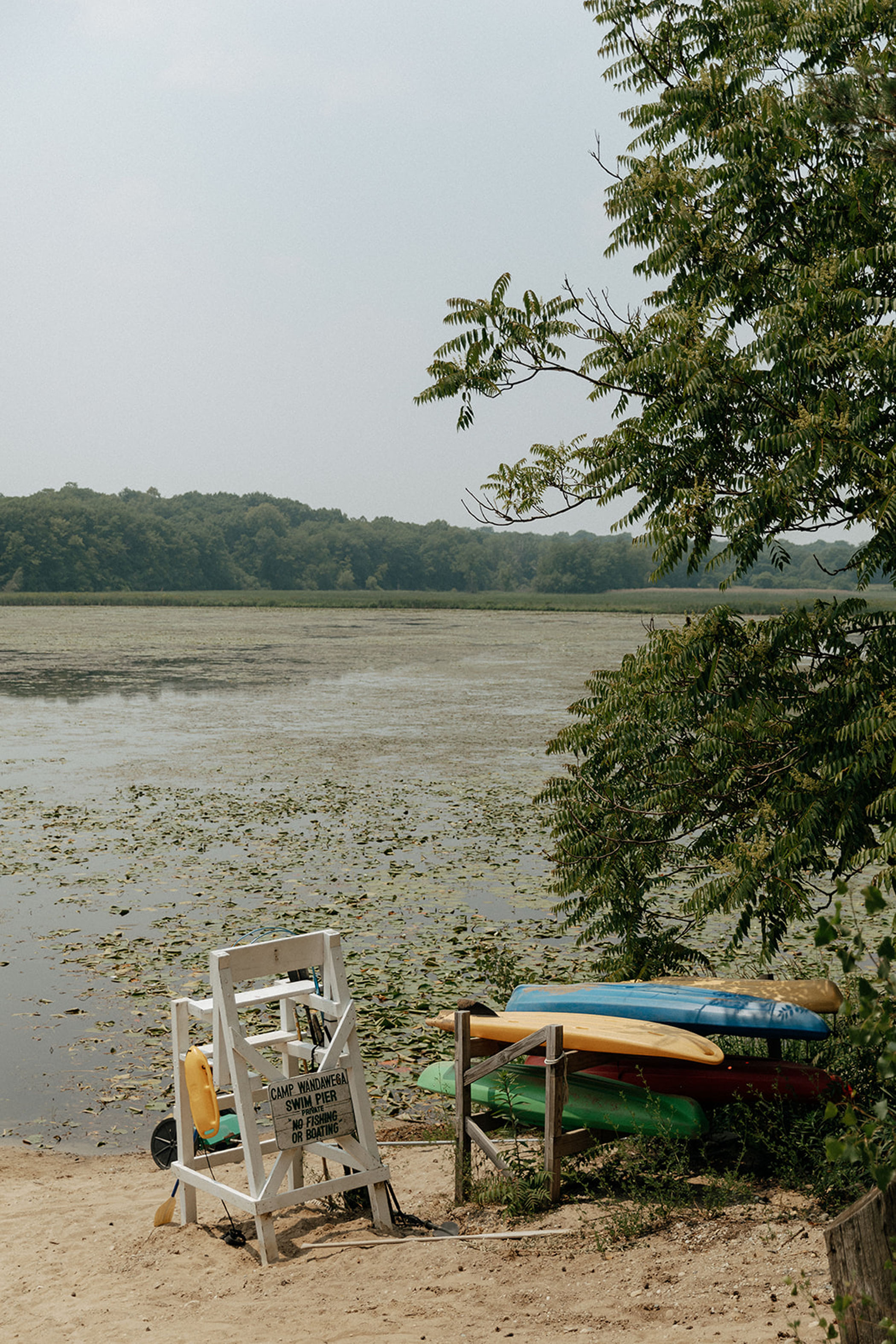 A Charming Cottagecore Summer Camp Wedding in Wisconsin