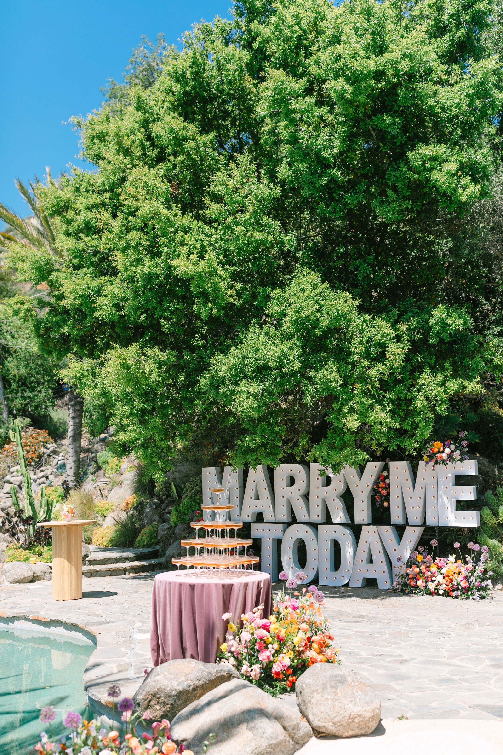"Marry Me Today!" A Colorful Surprise Proposal *and* Wedding